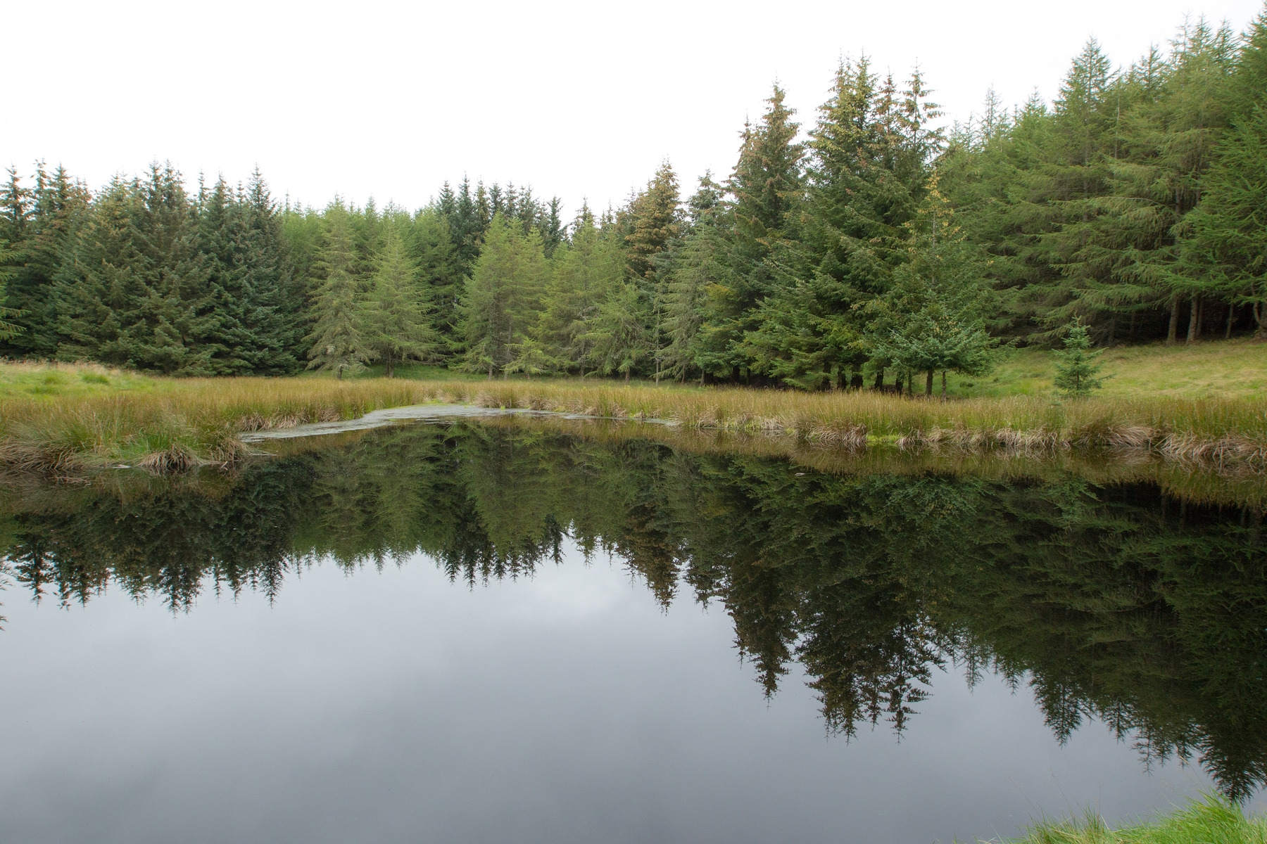 Wilsontown - VisitLanarkshire